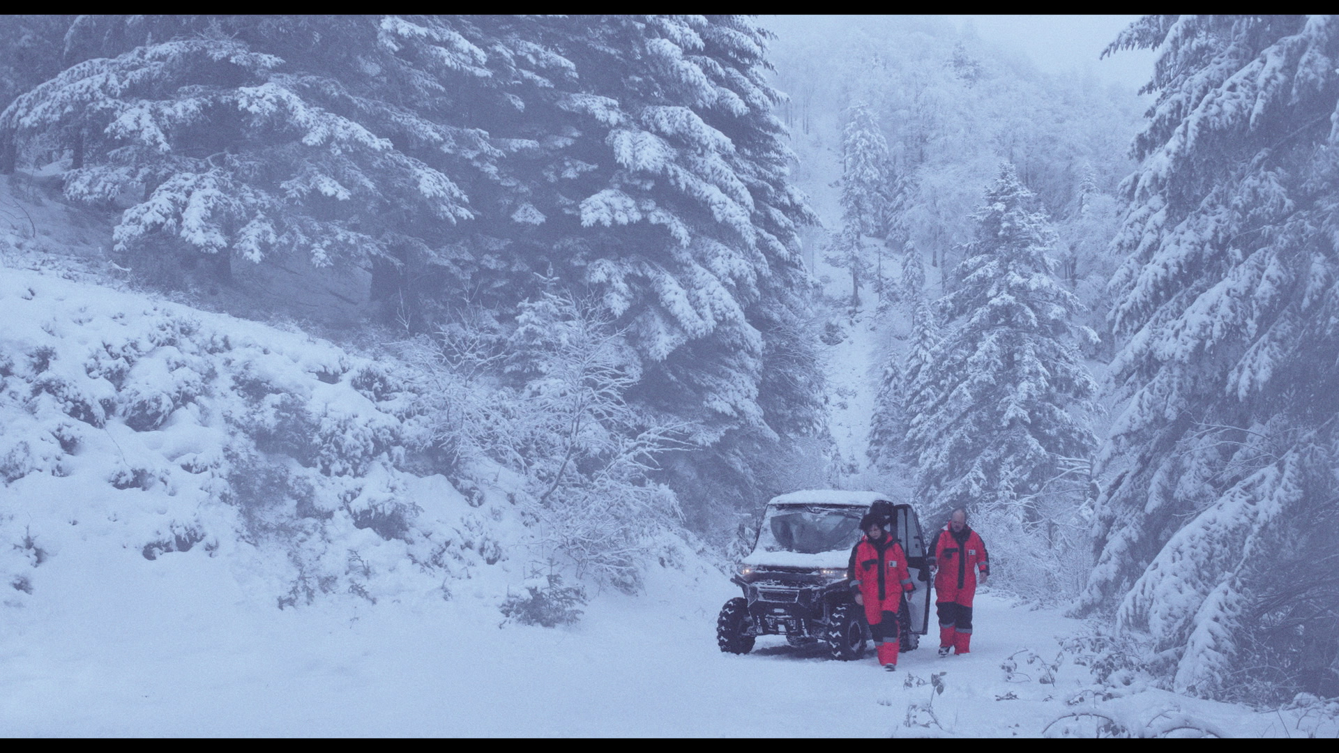 Les cimes - Cinemads